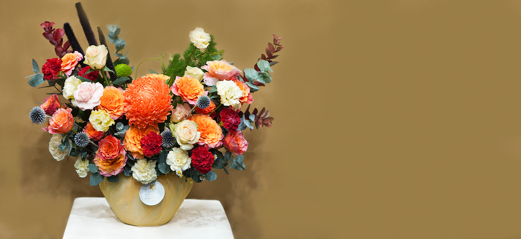 Moon Flower – Tinh tế như cảm xúc của bạn!